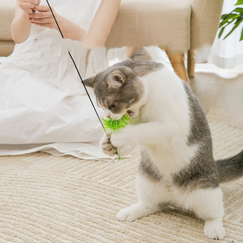 🐾 Pourquoi un bâton de jeu avec ventouse est un must pour votre chat
